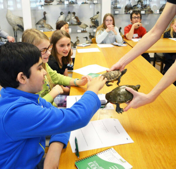 Home - Snake Discovery